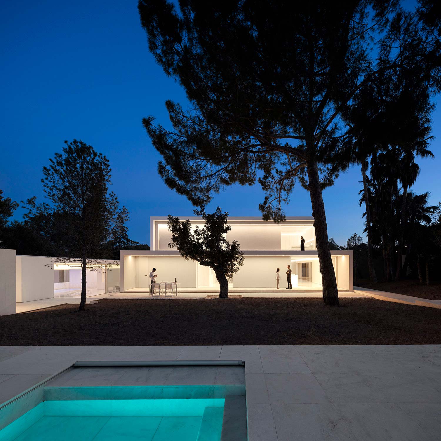 House between the pine forest | Fran Silvestre Arquitectos™