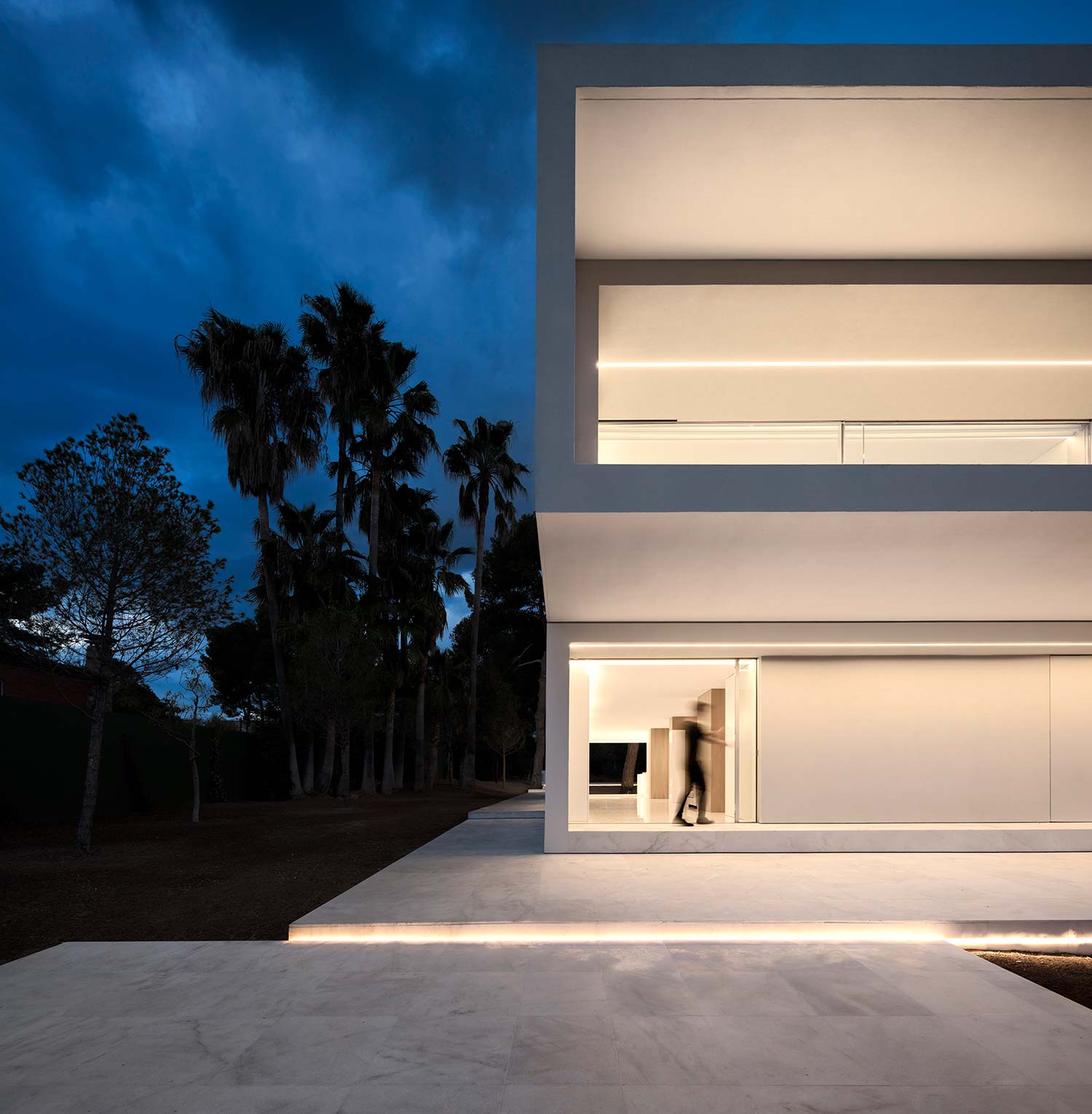 House between the pine forest | Fran Silvestre Arquitectos™
